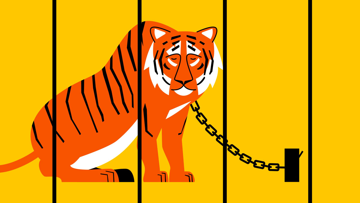 Jolt | Animation Studio UK